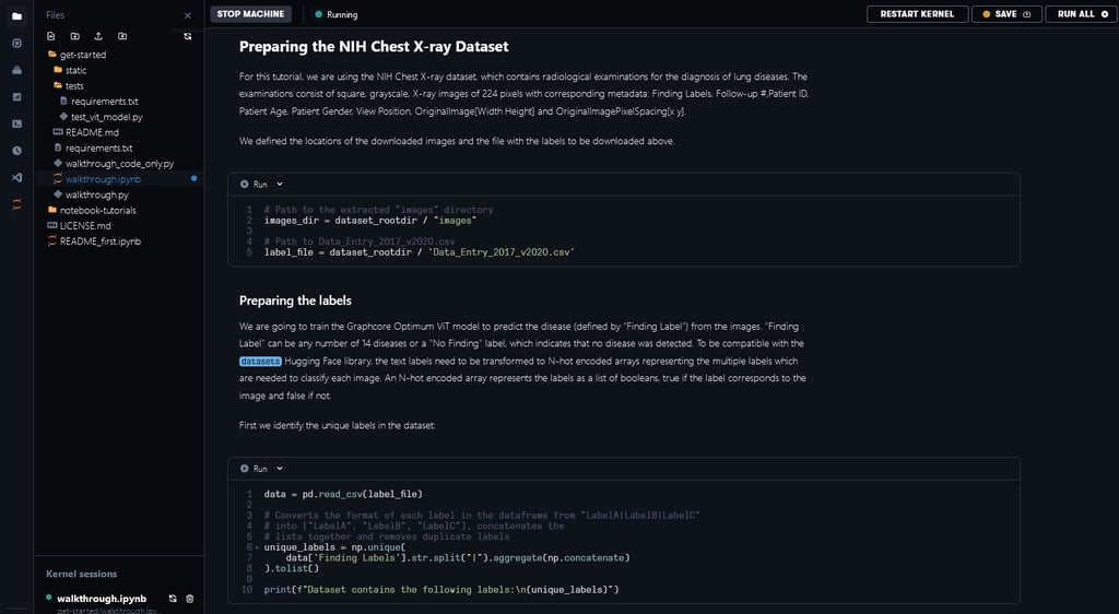 Getting started with IPUs on Paperspace